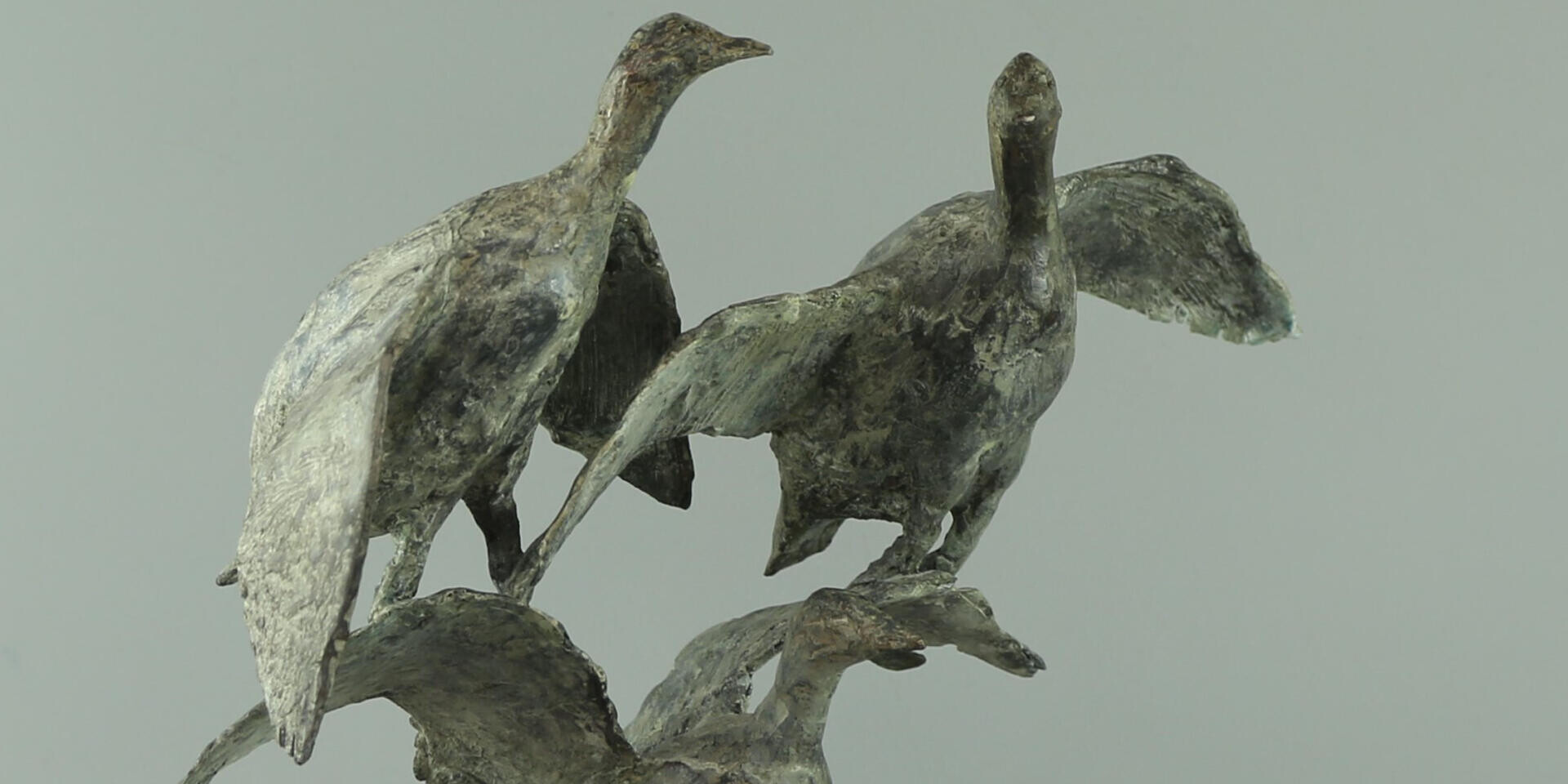 Rietganzen • Pieter Verstappen Wildlife Artist