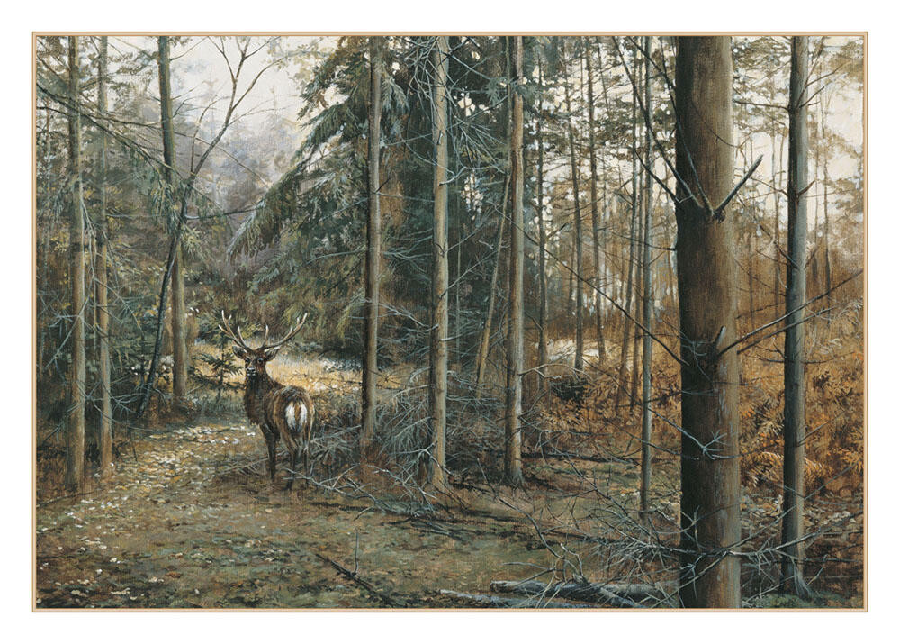 Edelhert • Pieter Verstappen Wildlife Artist